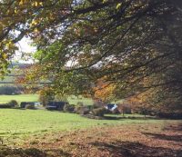 Gallery - Handley Farm