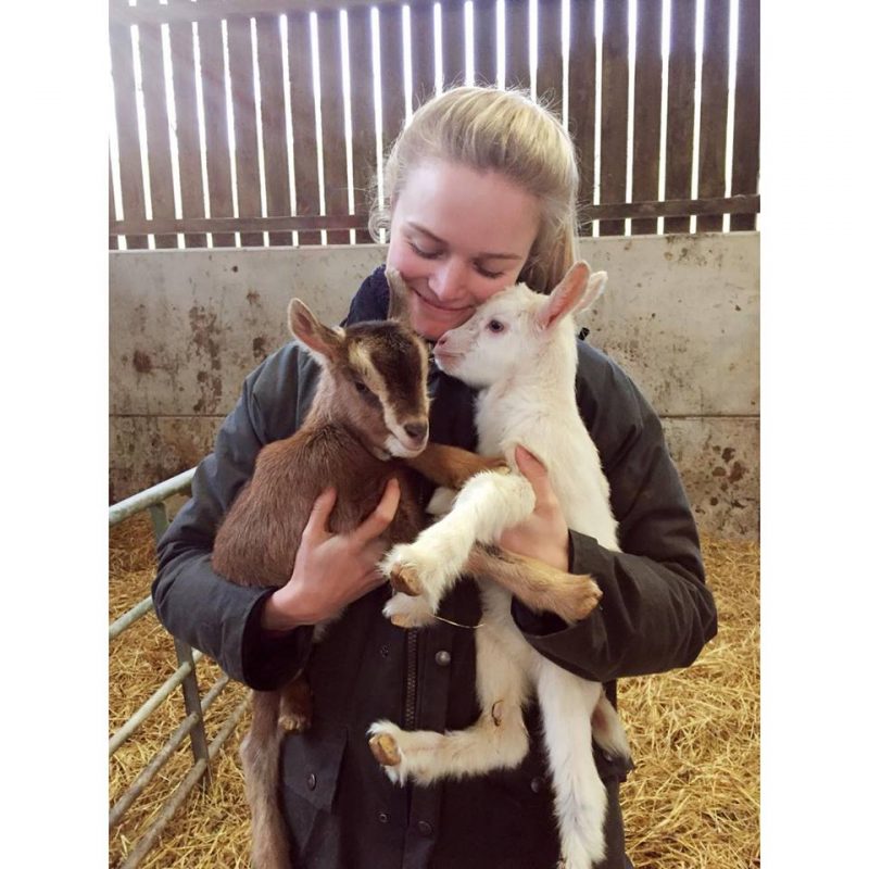 Gallery - Handley Farm