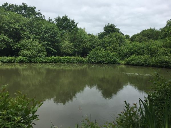 Gallery - Handley Farm