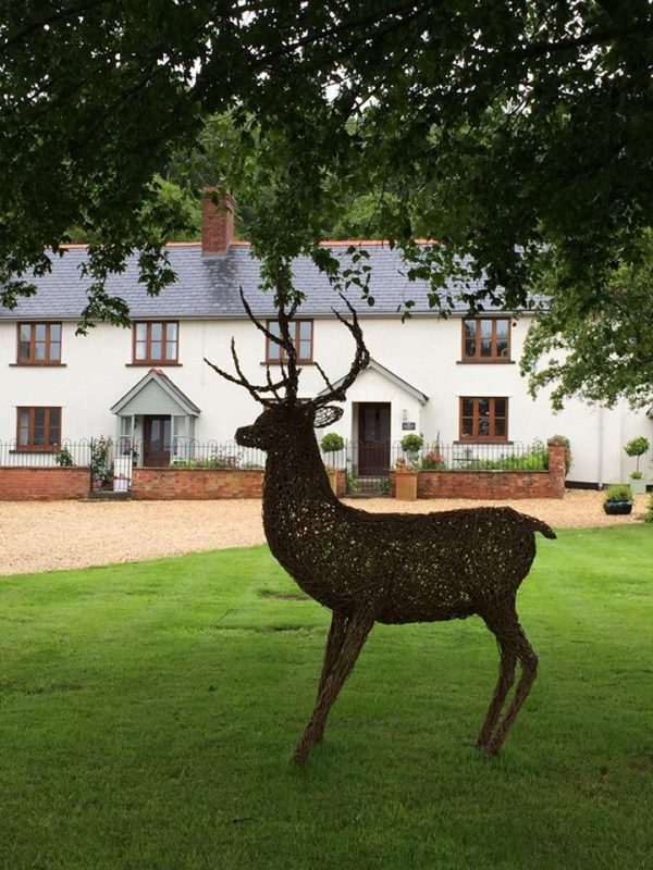 Gallery - Handley Farm