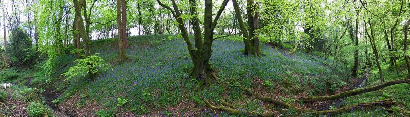 Gallery - Handley Farm